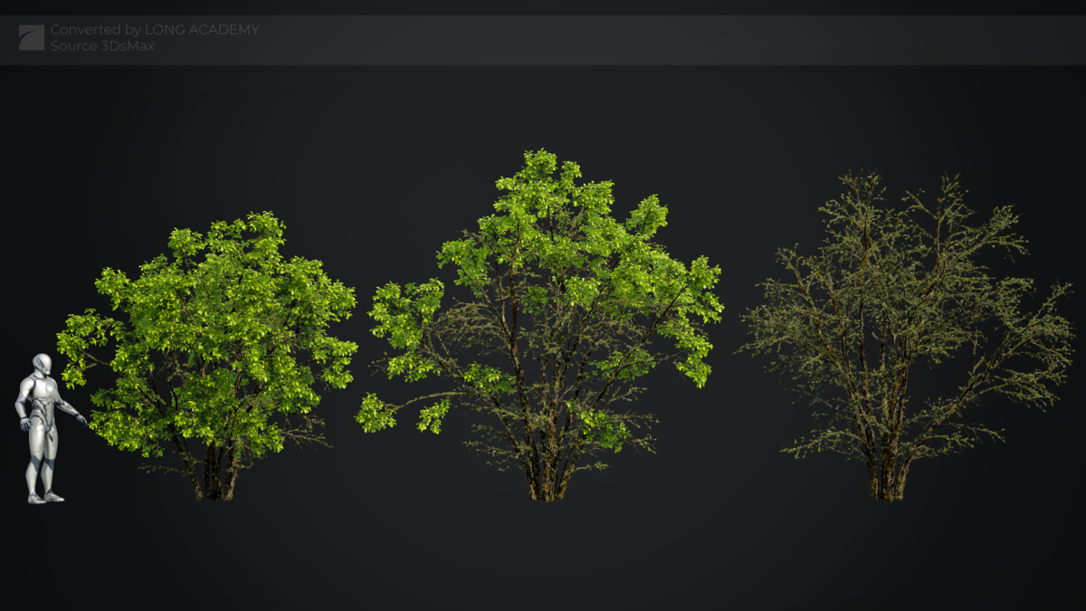 UE5 Library – LONG ACADEMY