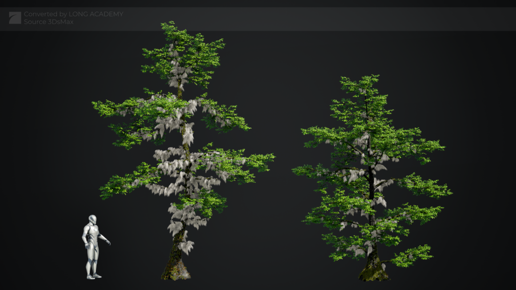 UE5 Library – LONG ACADEMY